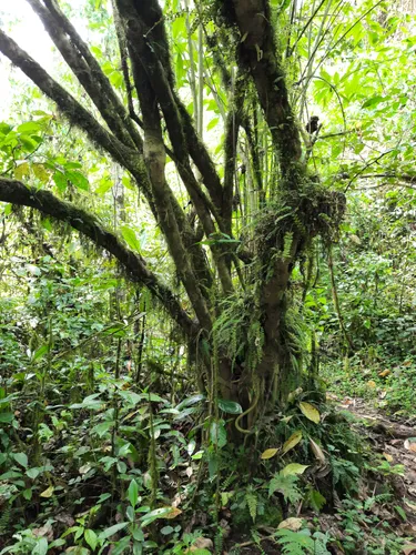 Parque Natural Ôbo: de beste routes om te wandelen | AllTrails