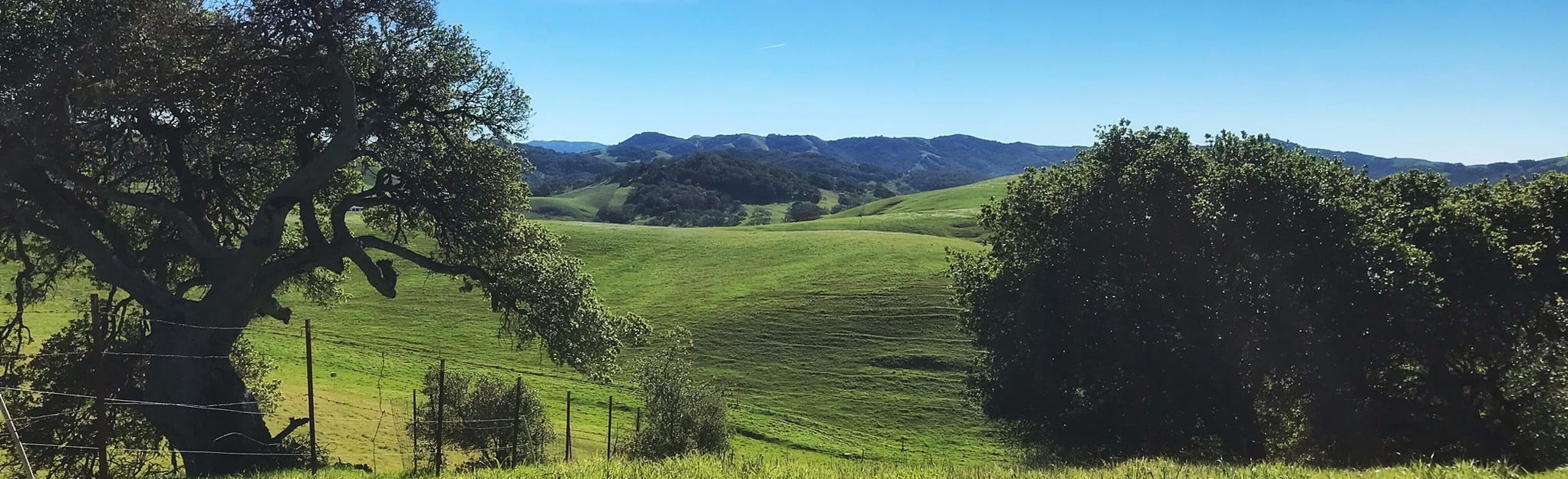 Ridge, Cattail, and South Loop Trails: 35 Reviews, Map - California ...