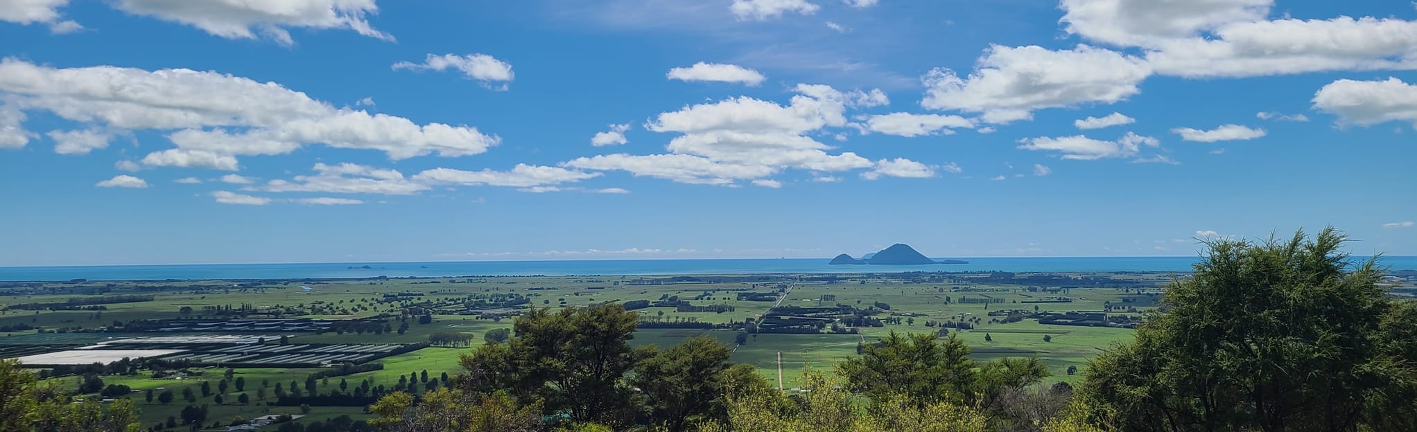 Latham Track, Bay of Plenty, New Zealand - 34 Reviews, Map | AllTrails