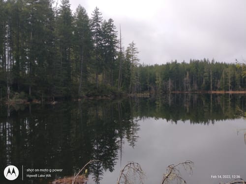 2023 Best Easy Trails in Tahuya State Forest | AllTrails