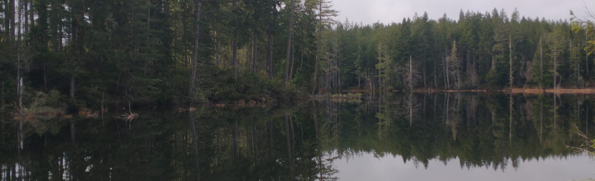 Belfair and Howell Lake OHV Loop, Washington - 19 Reviews, Map | AllTrails