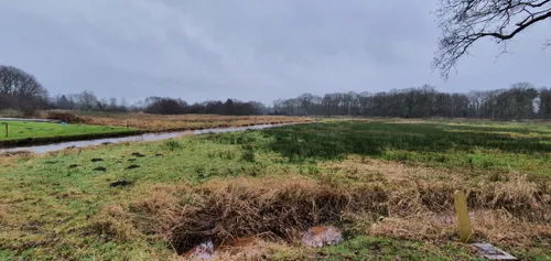 10 Best Camping Trails in Drentsche Aa National Park | AllTrails