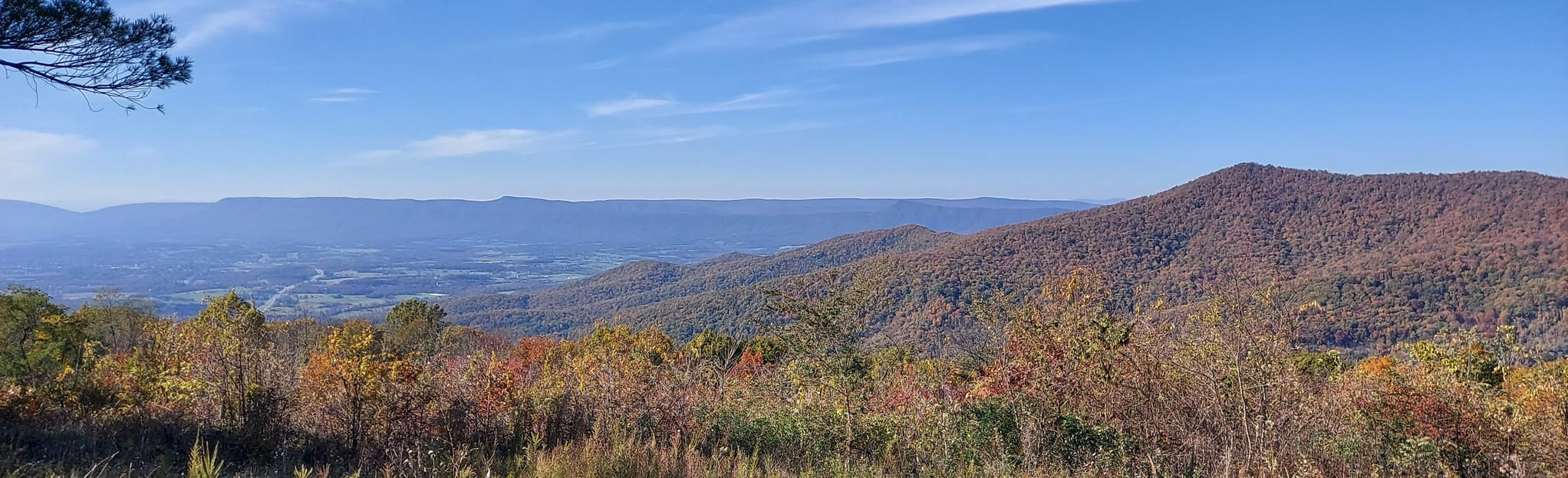 Pass Mountain Loop, Virginia - 186 Reviews, Map | AllTrails