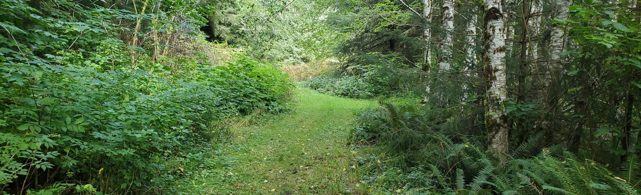 Little Hoko River trail: 7 Reviews, Map - Washington | AllTrails