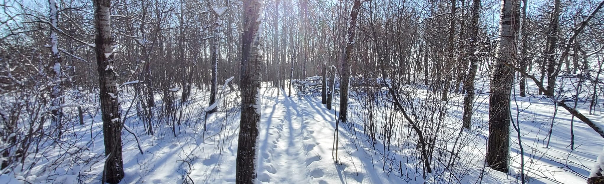 Birtle Snowshoe Trail - West Loop, Manitoba, Canada - 6 Reviews, Map ...