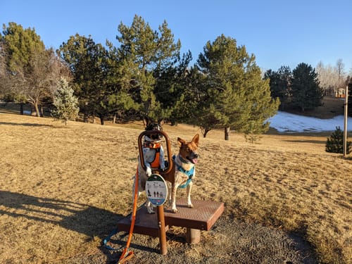 Best Hikes and Trails in Wallace Park | AllTrails