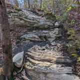 Cook's Wall Trail, North Carolina - 367 Reviews, Map | AllTrails
