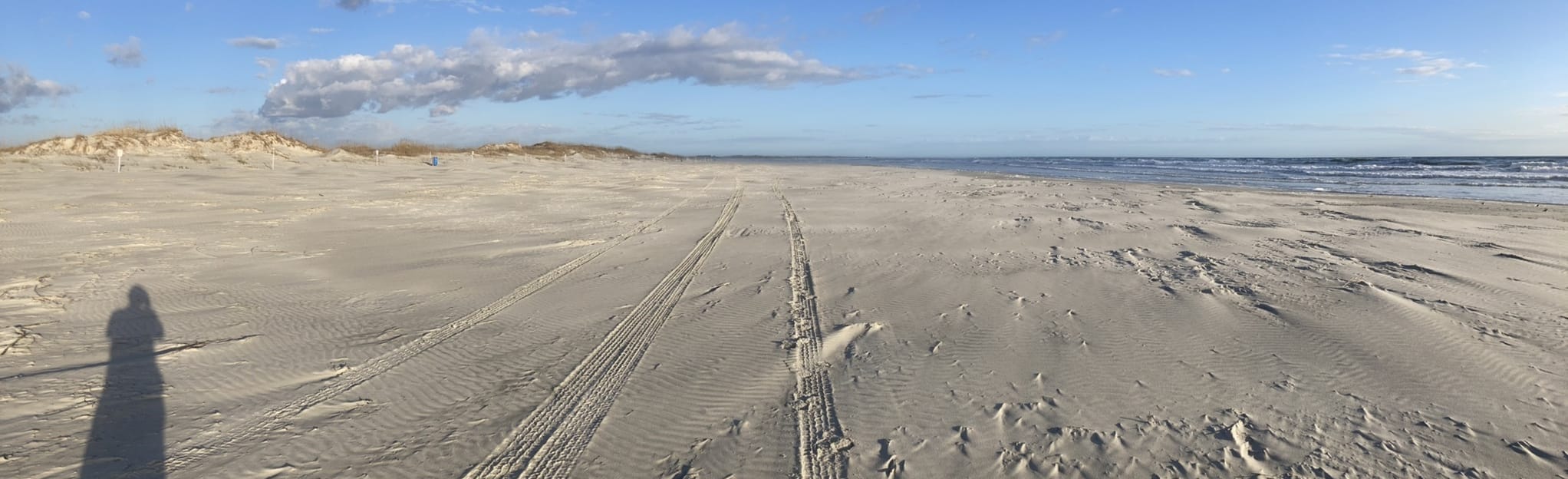 Huguenot Memorial Park Loop, Florida - 13 Reviews, Map | AllTrails