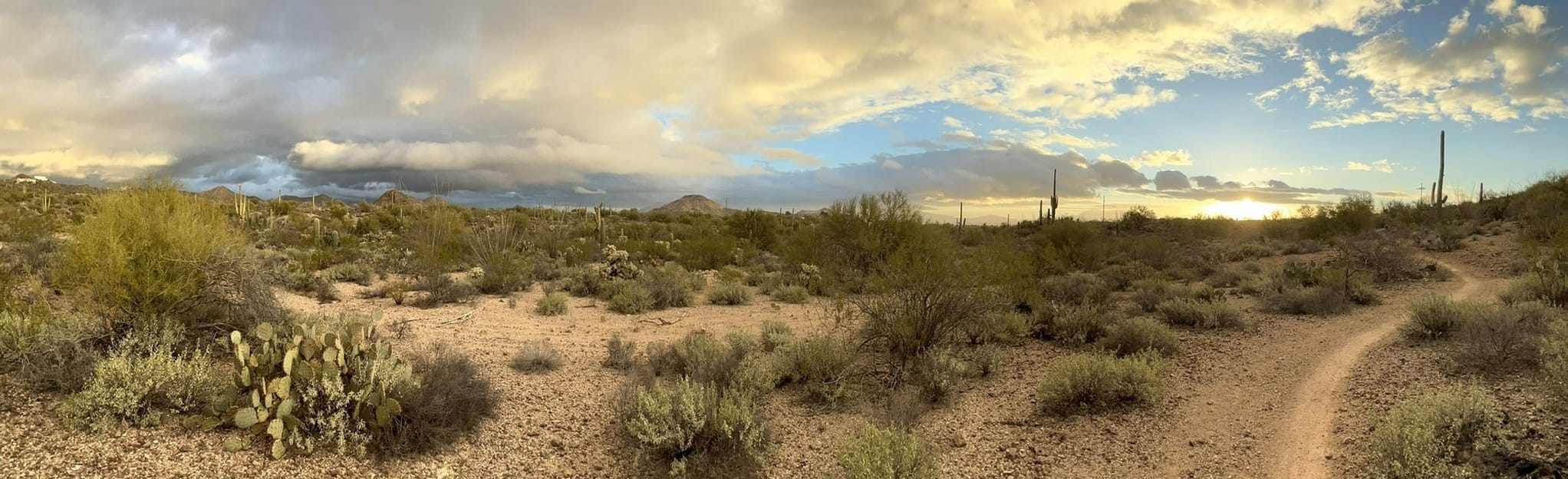 Portal Trail, Arizona - 43 Reviews, Map | AllTrails