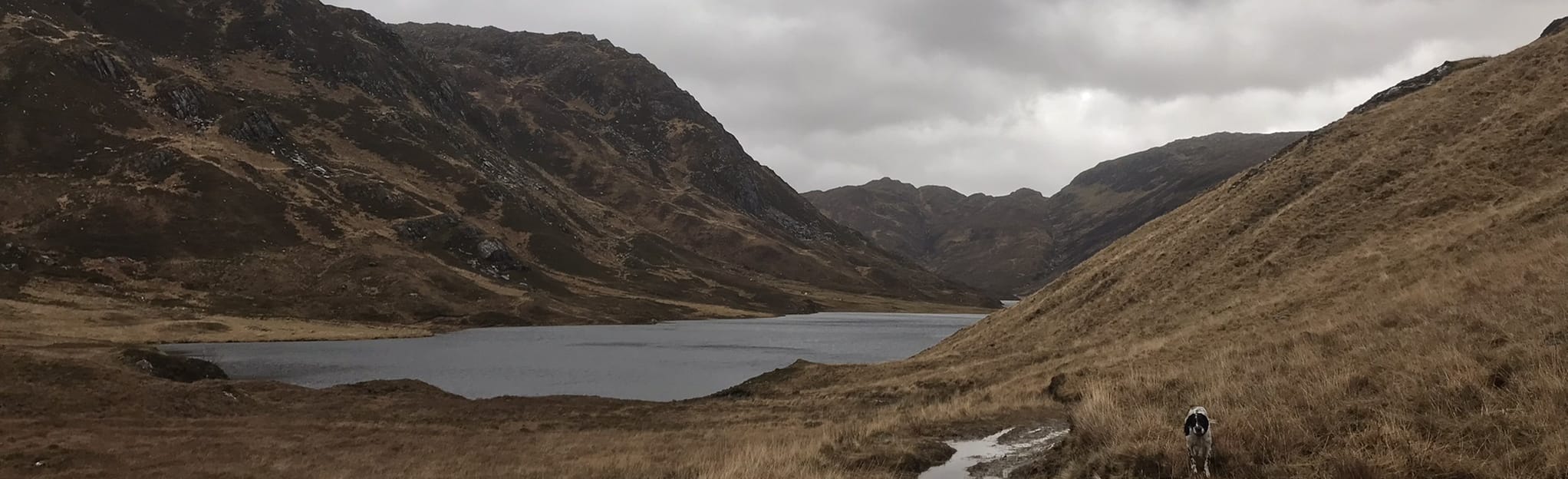 Lochailort to Loch Mama, Highlands, Scotland - Map, Guide | AllTrails