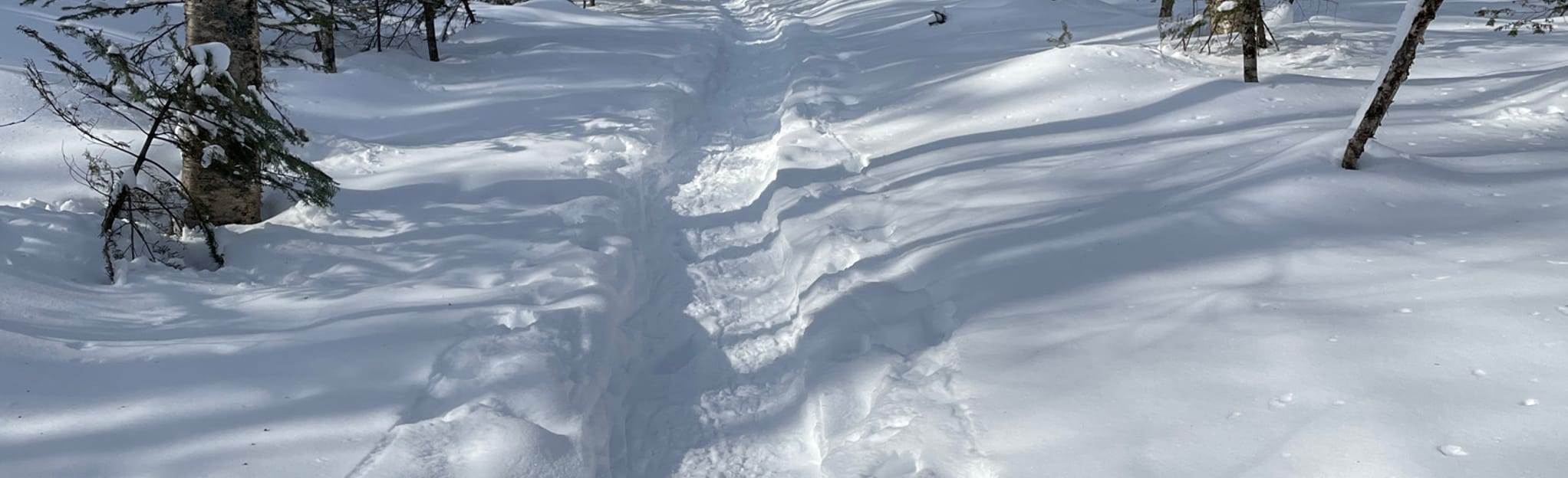 Odgen Brook and Big Bend Loop: 12 Reviews, Map - New Brunswick, Canada | AllTrails