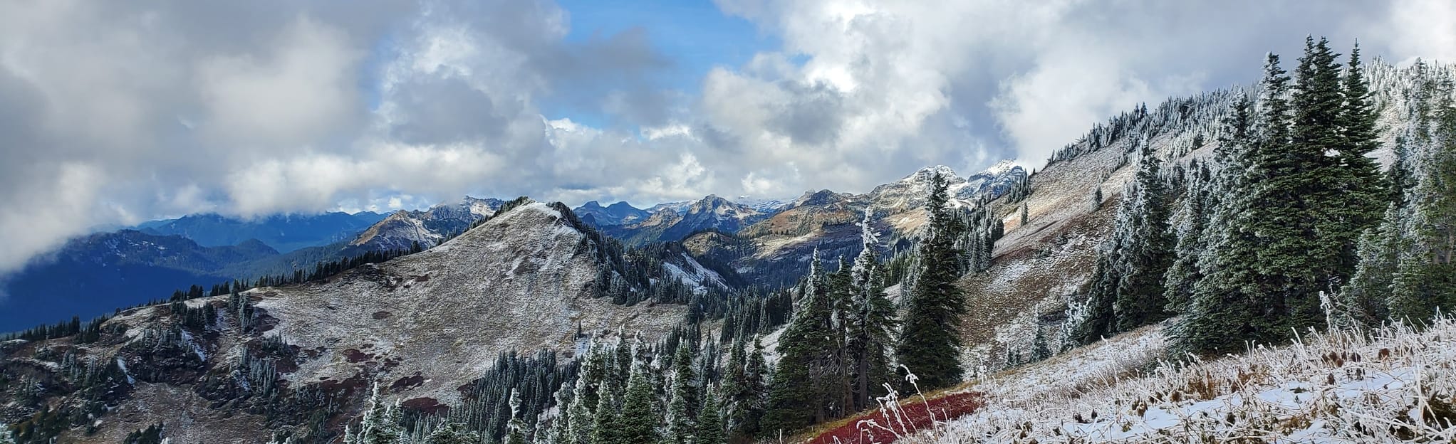 Tatoosh Peak via Tatoosh Trail #161: 48 Reviews, Map - Washington ...