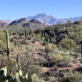 First Water Creek and Weaver Needle Trail, Arizona - 136 Reviews, Map ...