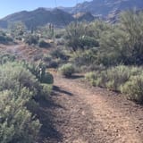 First Water Creek and Weaver Needle Trail, Arizona - 136 Reviews, Map ...