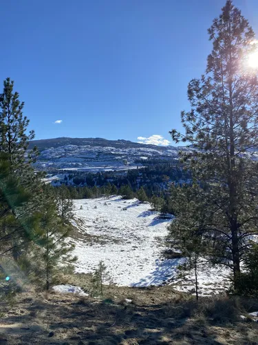 Best Hikes and Trails in Mission Ridge Park | AllTrails