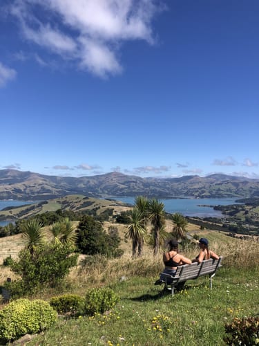 Best Hikes and Trails in Akaroa Heritage Park | AllTrails