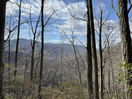 Best 10 Hikes and Trails in Frozen Head State Park | AllTrails
