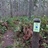 Amanda's Trail, Oregon - 156 Reviews, Map | AllTrails