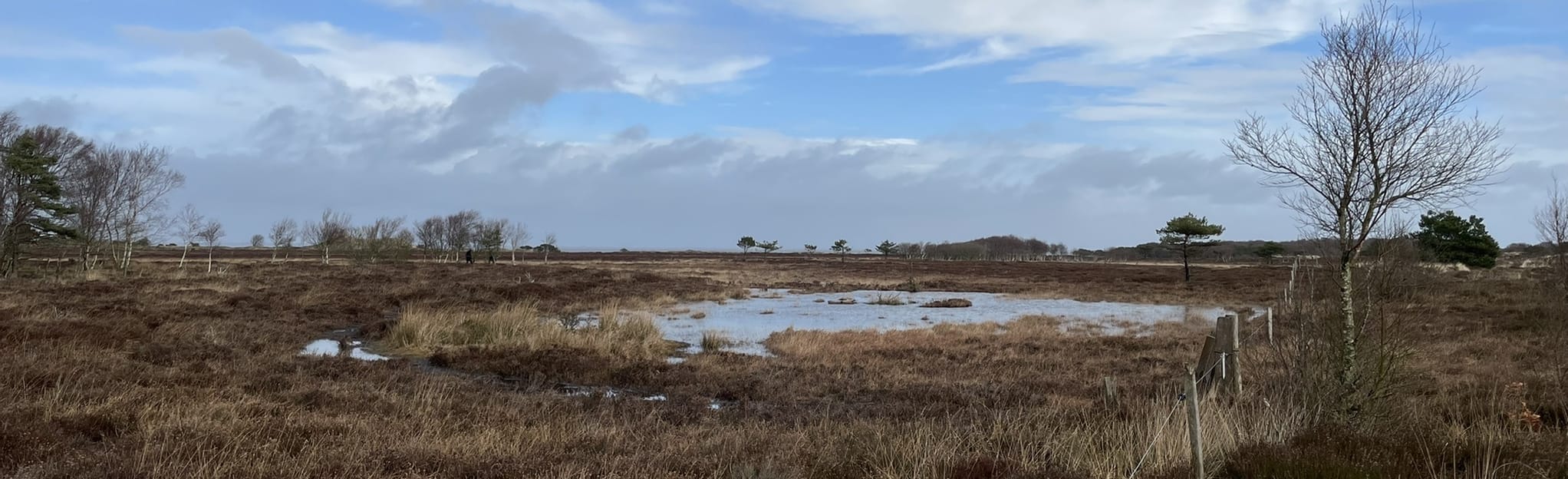 Sønderho Old Duck Decoy: 6 Reviews, Map - Region of Southern Denmark ...