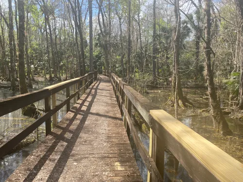 10 Best Hikes and Trails in Marjorie Harris Carr Cross Florida Greenway ...