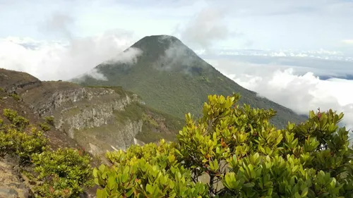 10 Best Hikes and Trails in Mount Gede Pangrango National Park | AllTrails