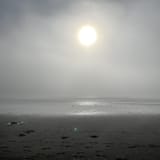 Damon Point State Park Trail, Washington - 408 Reviews, Map | AllTrails