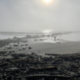 Damon Point State Park Trail, Washington - 408 Reviews, Map | AllTrails