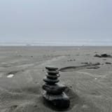 Damon Point State Park Trail, Washington - 408 Reviews, Map | AllTrails