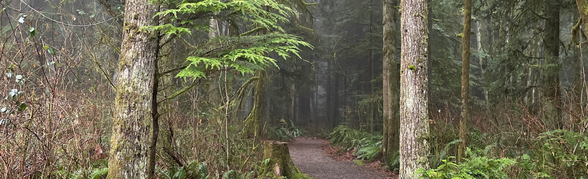 East Ranch, Nuthatch, and Chickadee Loop: 42 Reviews, Map - Washington ...
