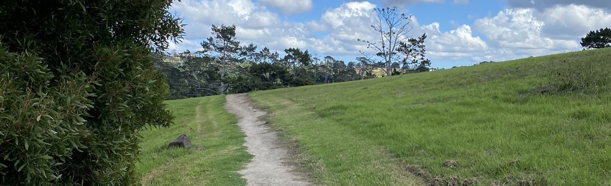 Sanders Reserve Walk, Auckland, New Zealand - 54 Reviews, Map | AllTrails