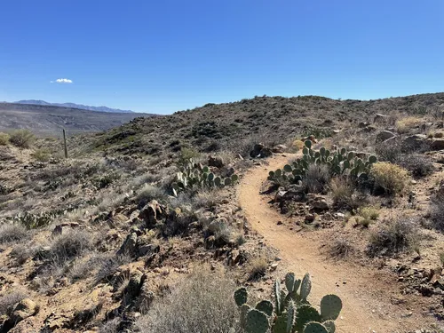 Best Hikes and Trails in Bumble Bee Ranch | AllTrails