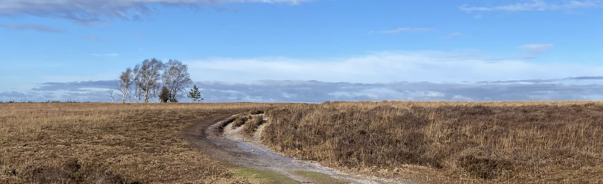 Dibden Circular - Hampshire, England | AllTrails