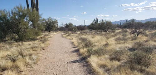 Best Hikes and Trails in Arthur Pack Regional Park | AllTrails