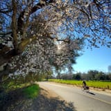 American River Bike Trail (Jedediah Smith Memorial Trail), California ...