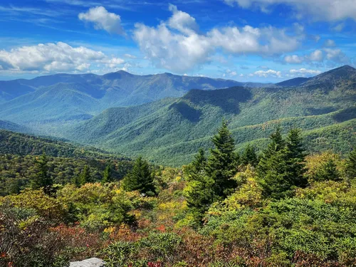 10 Best Trails and Hikes in Black Mountain | AllTrails