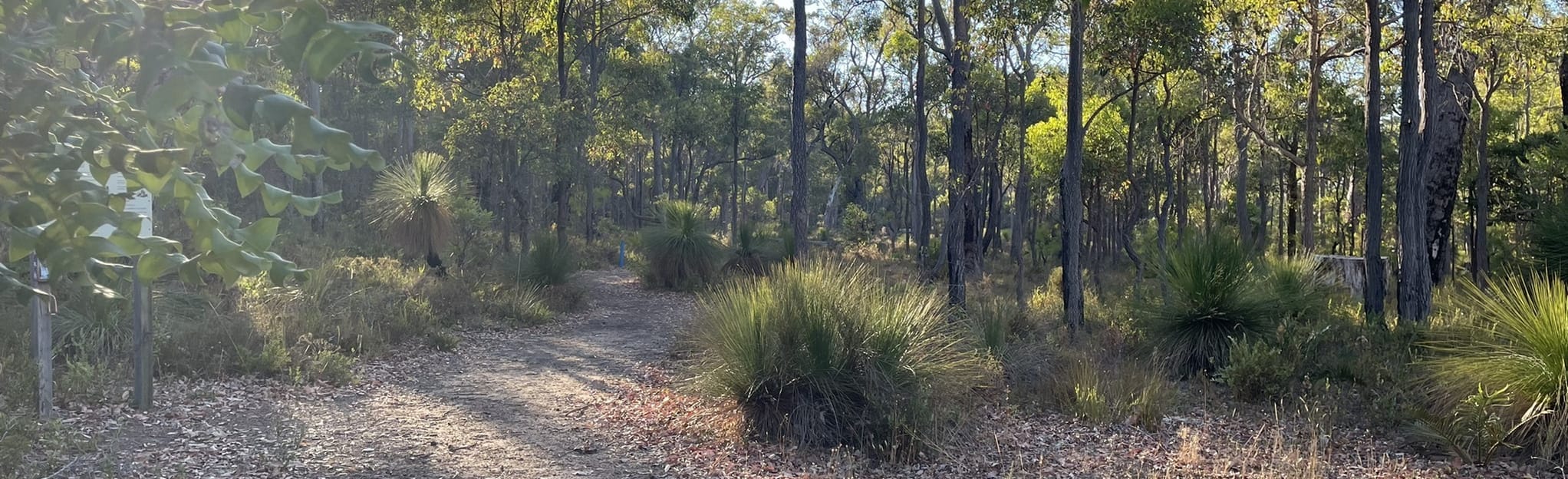 Elephant Trek Loop, Western Australia, Australia - 2 Reviews, Map ...