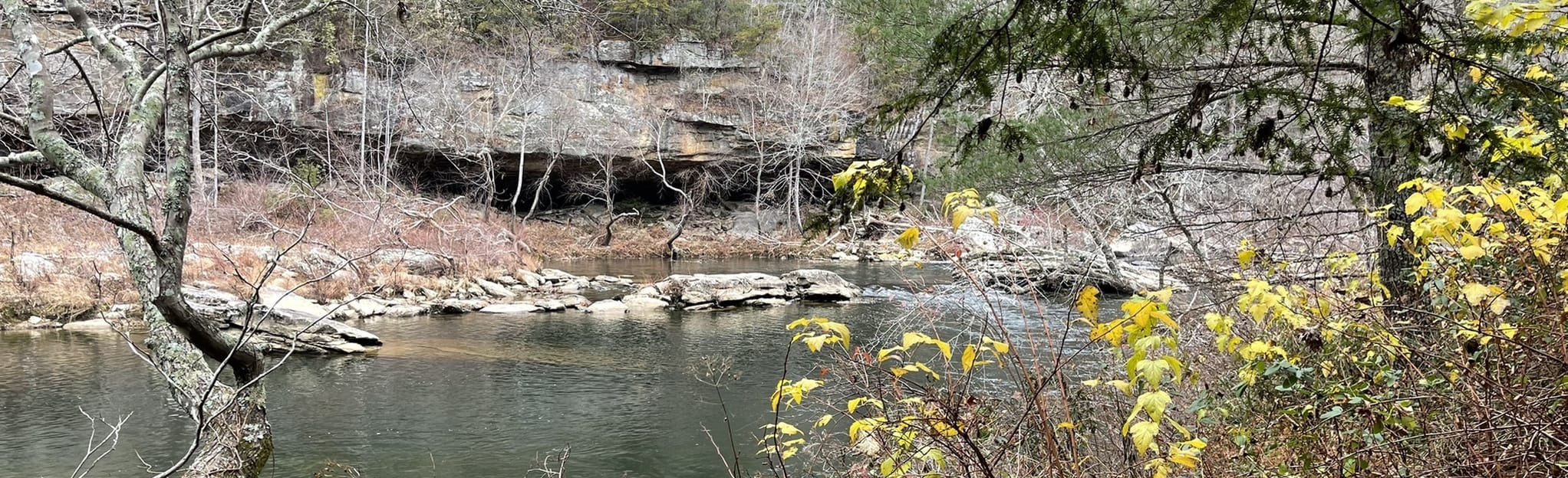 Sheltowee Trace Trail: 230 Reviews, Map - Tennessee | AllTrails