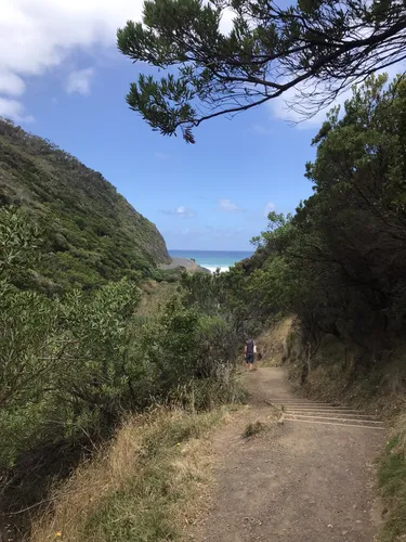 10 Best Trails and Hikes in Lorne | AllTrails