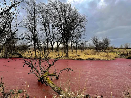 Best Hikes and Trails in Ridgefield | AllTrails