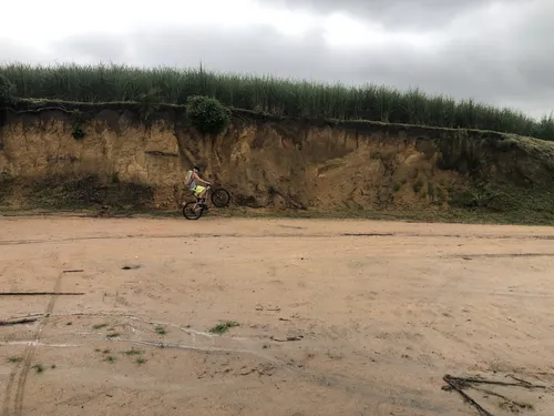 Best Forest Trails in Umdoni NU | AllTrails