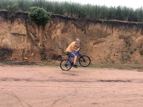 Best Forest Trails in Umdoni NU | AllTrails