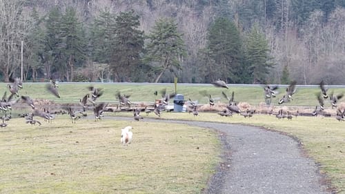 Best Hikes and Trails in Trojan Park | AllTrails