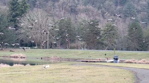 Best Hikes and Trails in Trojan Park | AllTrails