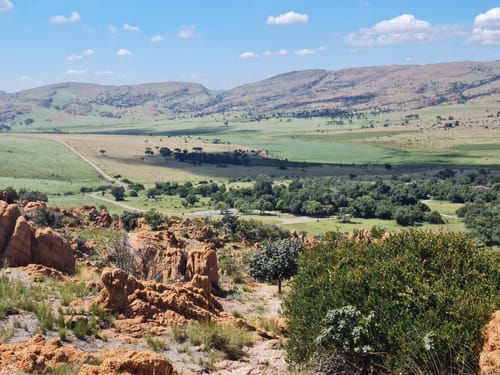 Las mejores rutas en Vergenoeg Nature Reserve en 2023 | AllTrails