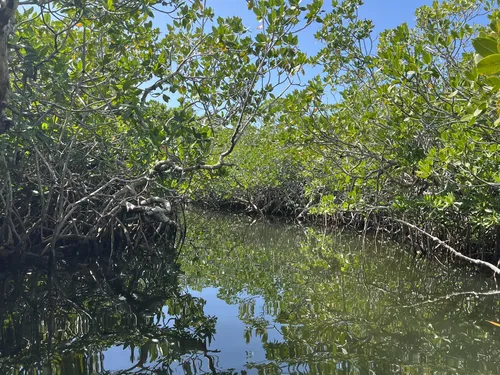 Best Hikes and Trails in John Pennekamp Coral Reef State Park | AllTrails