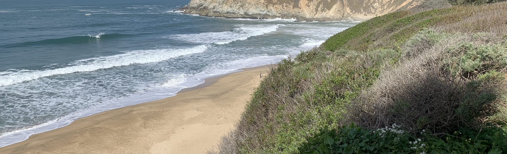 Gray Whale Cove State Beach: 61 Reviews, Map - California | AllTrails