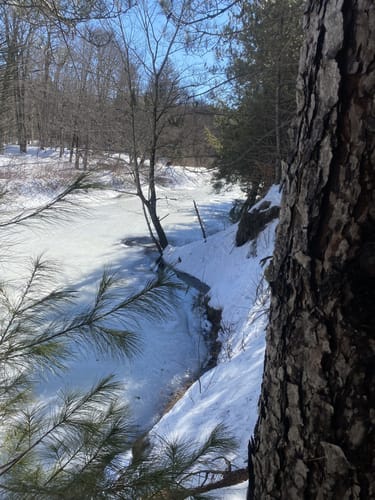 Best Hikes and Trails in Crooked River Forest Preserve - Intervale ...