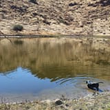 Devil's Canyon Trail, Arizona - 170 Reviews, Map | AllTrails