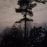 Hogs Back Falls Loop, Ontario, Canada - 303 Reviews, Map | AllTrails