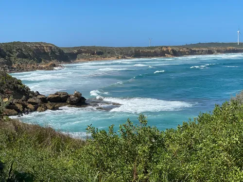 10 Best Hikes and Trails in Discovery Bay Coastal Park | AllTrails